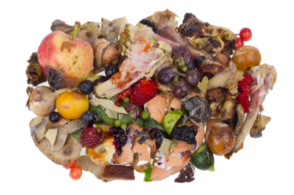 Rotting Tray Food Transparent – RTHK's Miss Adventure 香港電台冒險小姐