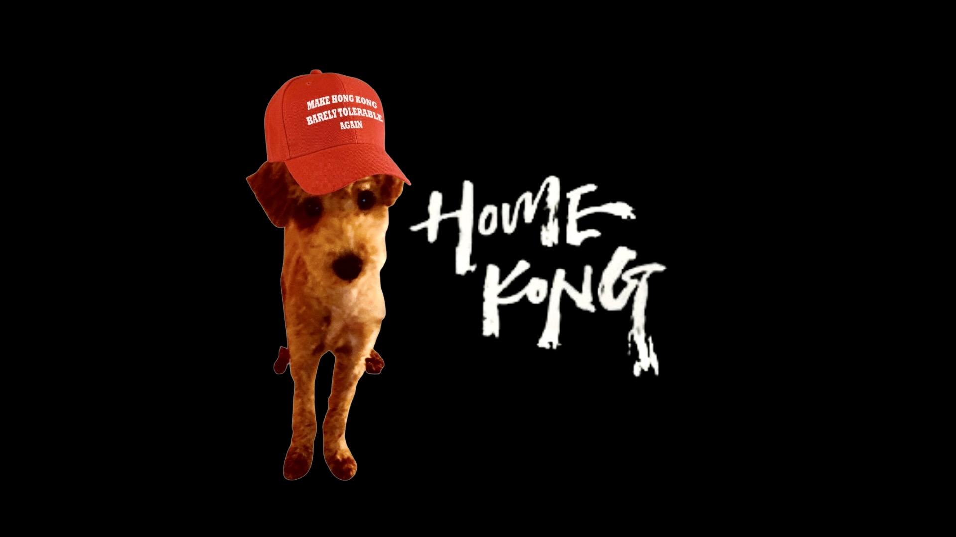 Home Kong Pup – RTHK's Miss Adventure 香港電台冒險小姐